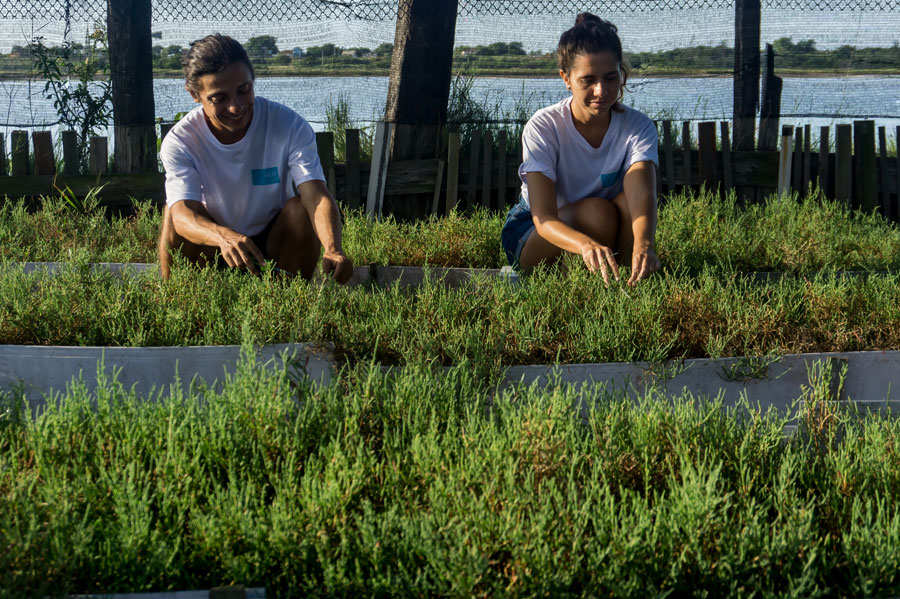 Shell LiveWire Top Ten Innovators Competition | Shell