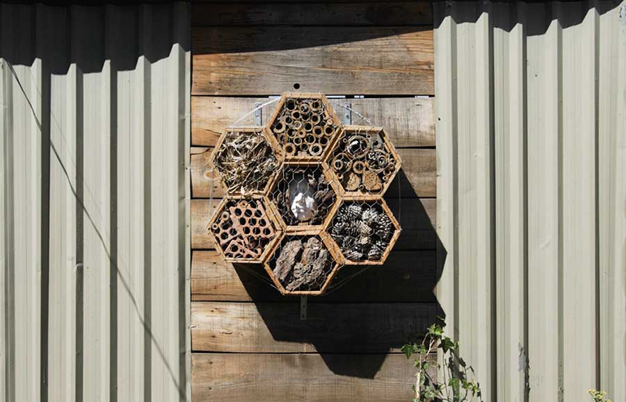 Shell LiveWire Top Ten Innovators Competition | Shell